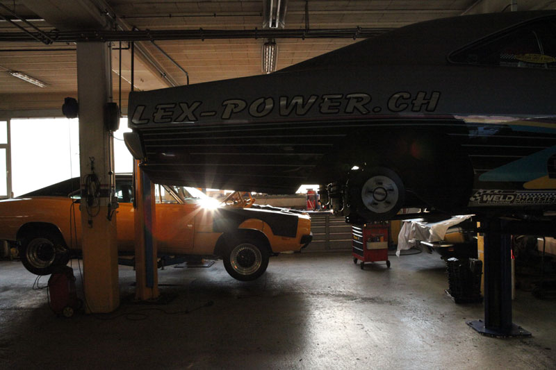 Welcome by Lex-Power